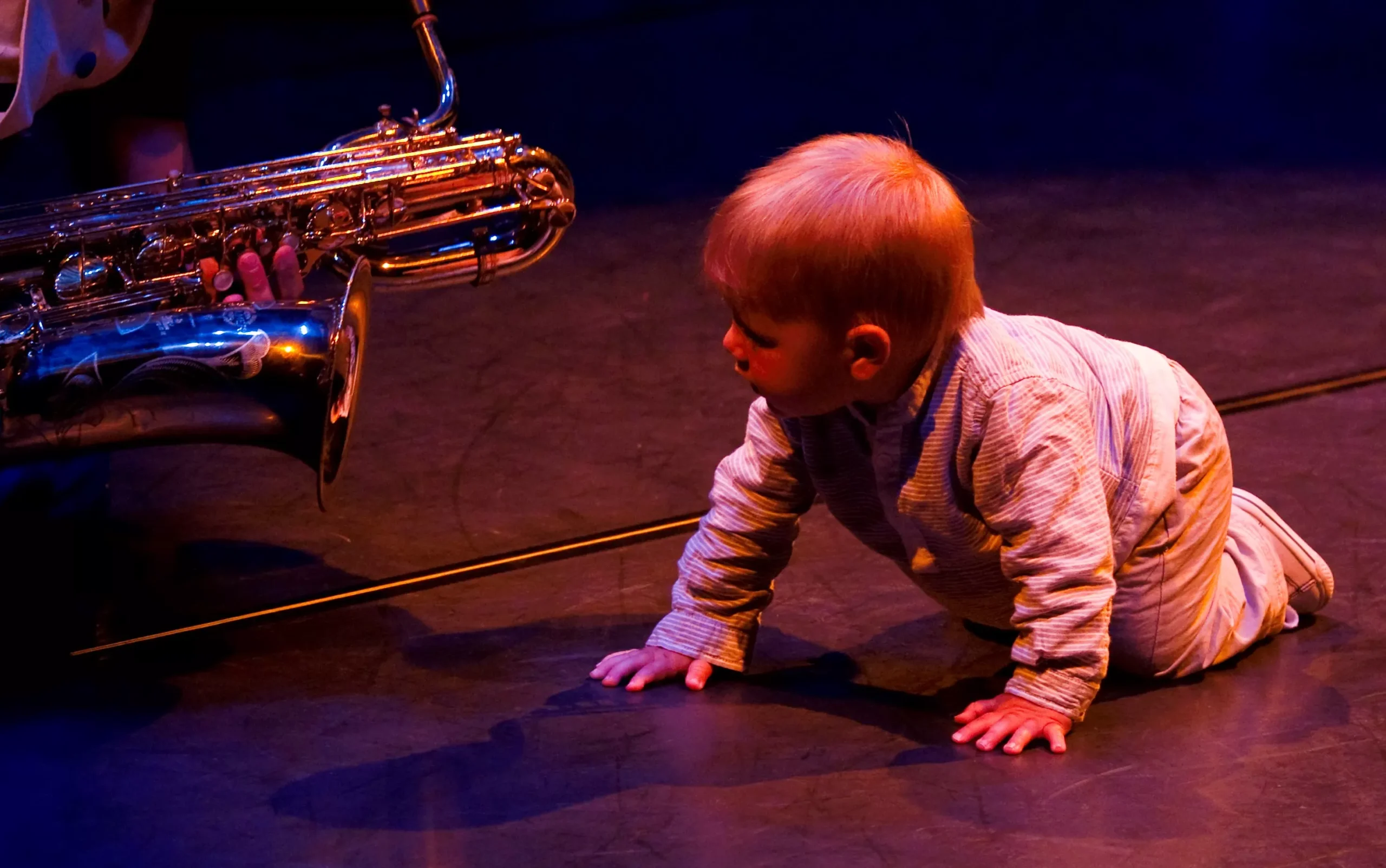 El Palau de la Música estrena ‘Deliciós fiscorn’, un nou concert ...